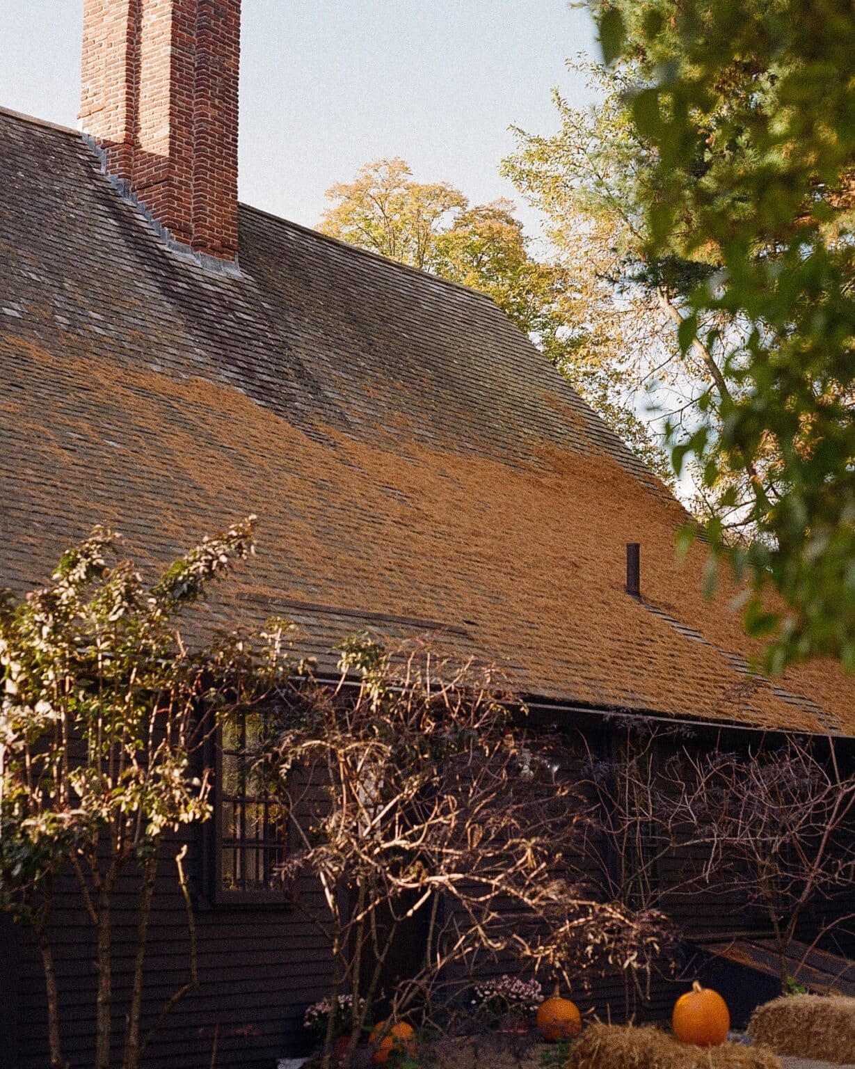 Exploring the History of the Puritans in Salem, Massachusetts - Haunted ...