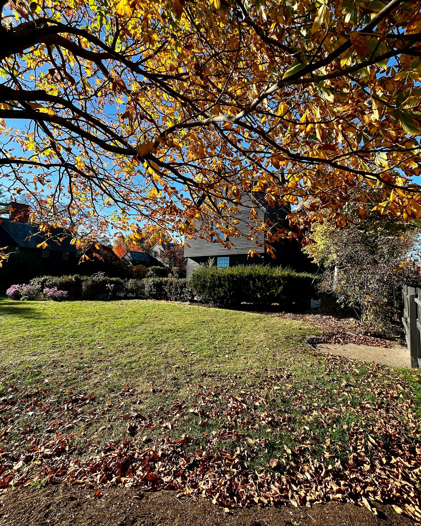 Bridget Bishop: Salem’s First Witch Trial Victim - Haunted Adventures