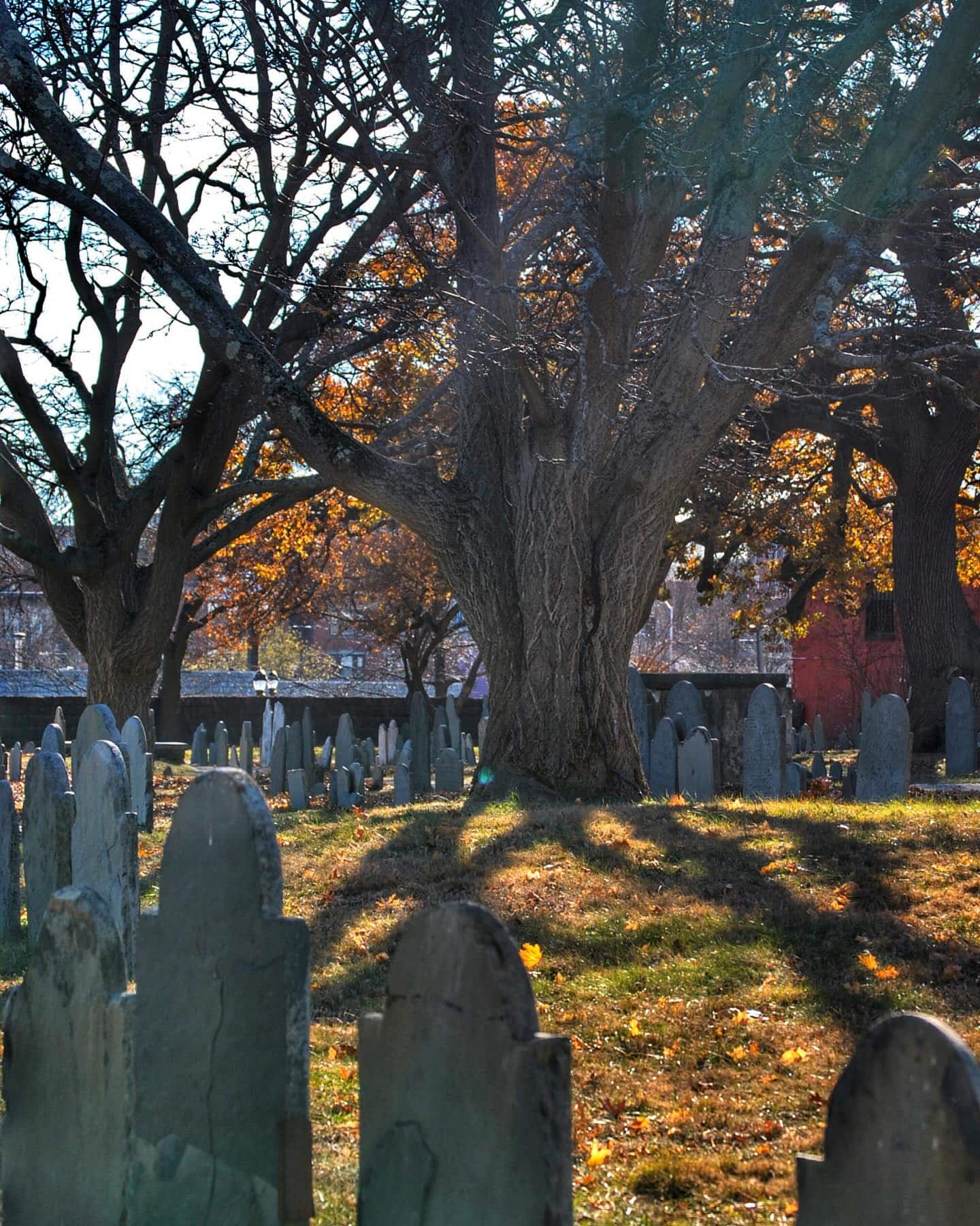 The Tragic Tale of Sarah Osborne, A Victim of the Witch Trials ...