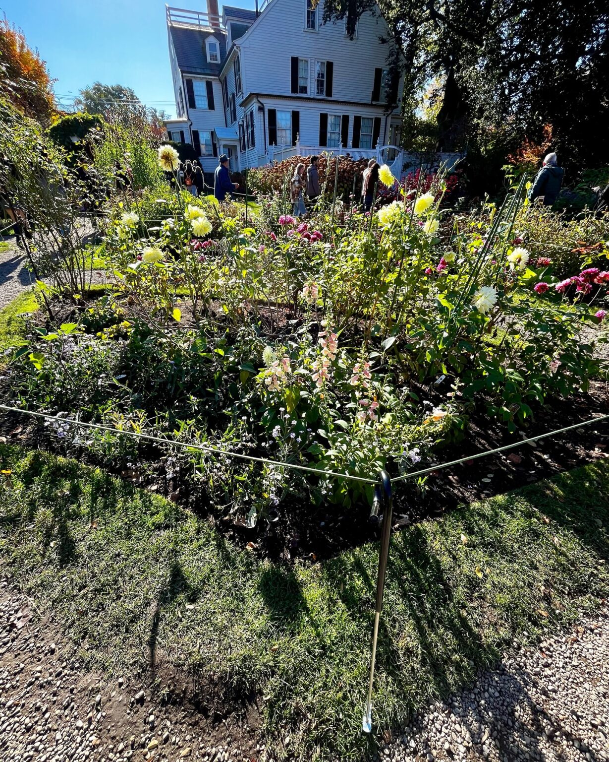 Giles Corey, Pressed to Death in the Salem Witch Trials - Haunted ...