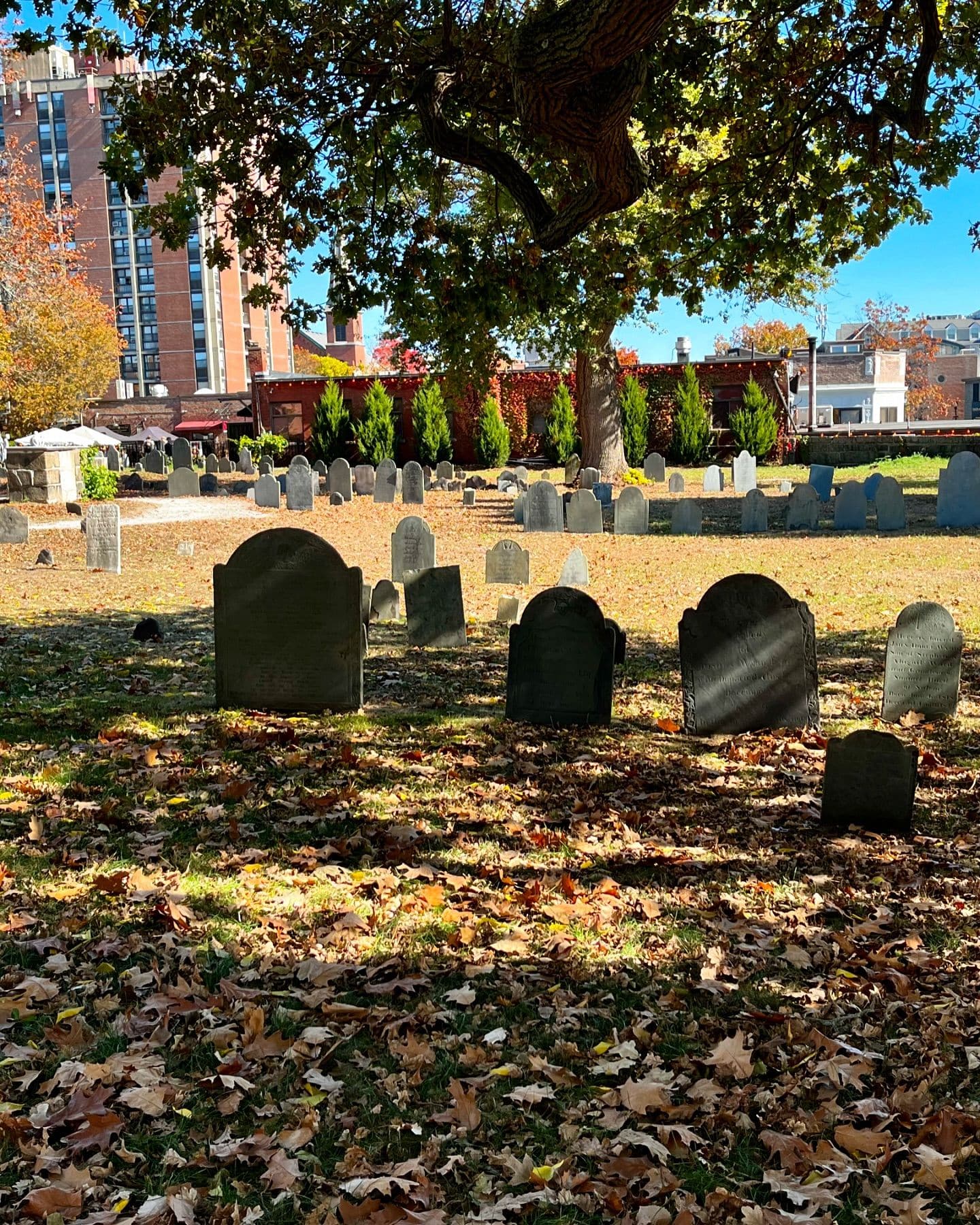 Understanding Gardnerian Wicca for Beginners Basics, Beliefs, and ...