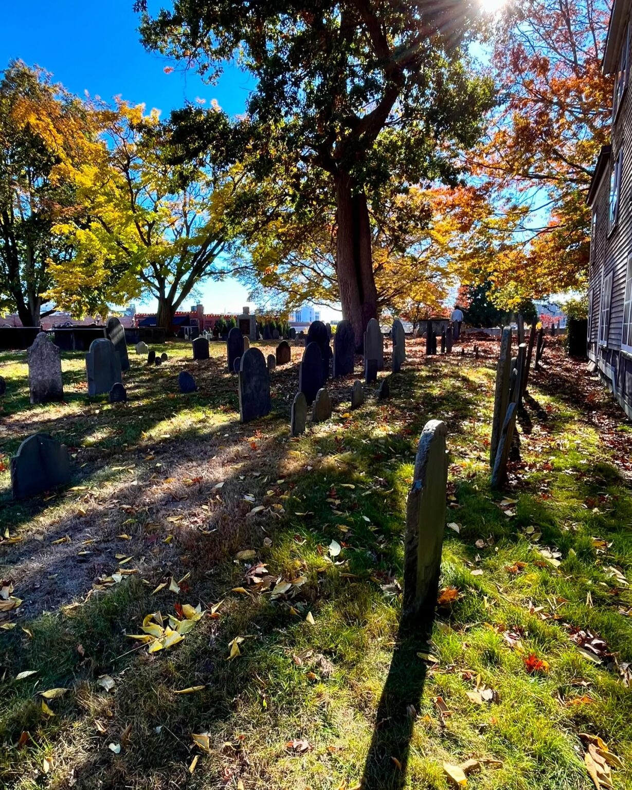 Exploring Dianic Wicca, The Path of the Goddess - Haunted Adventures