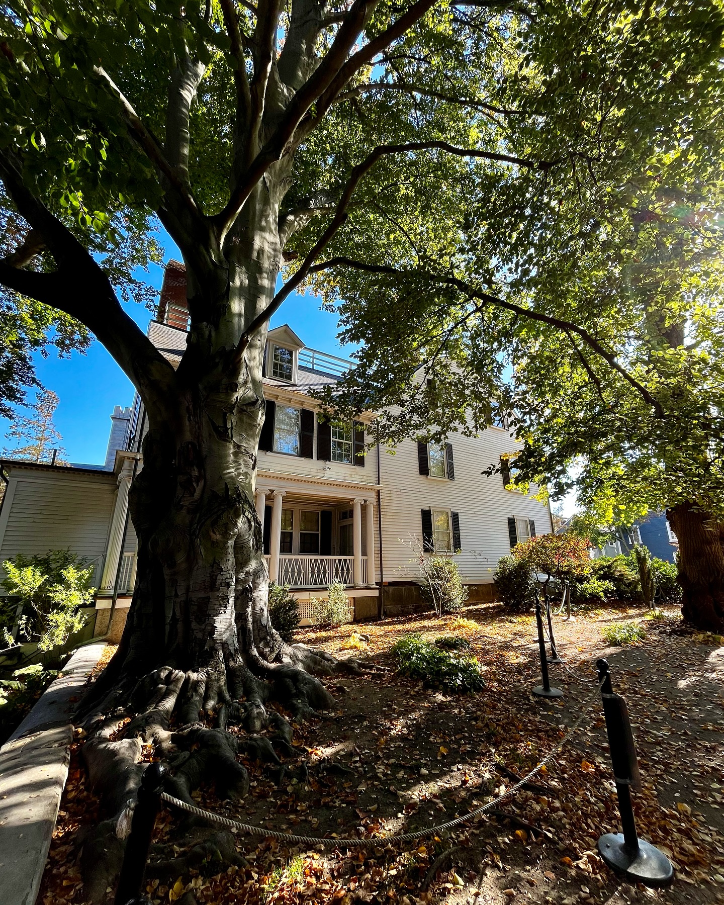 Bridget Bishop: Salem’s First Witch Trial Victim - Haunted Adventures