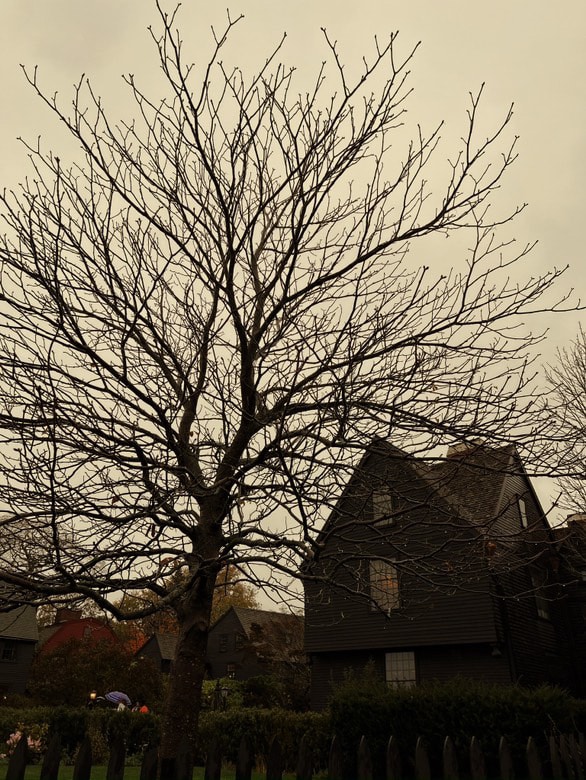 Bridget Bishop: Salem’s First Witch Trial Victim - Haunted Adventures