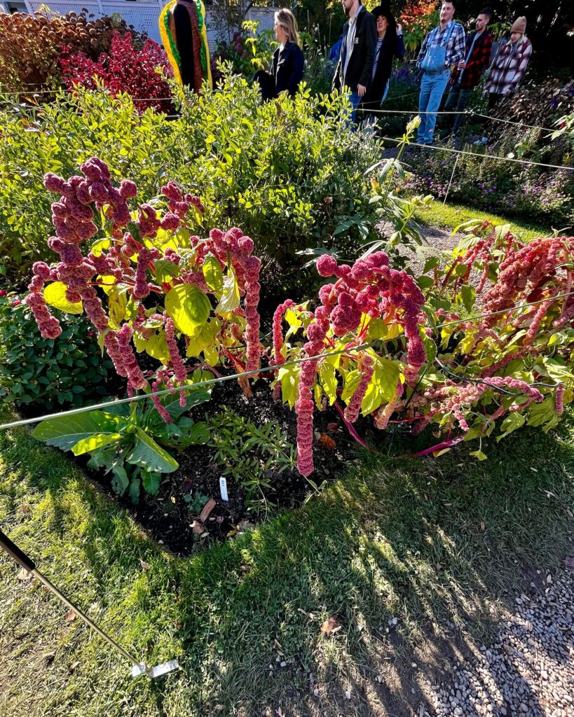 Understanding Gardnerian Wicca for Beginners Basics, Beliefs, and ...