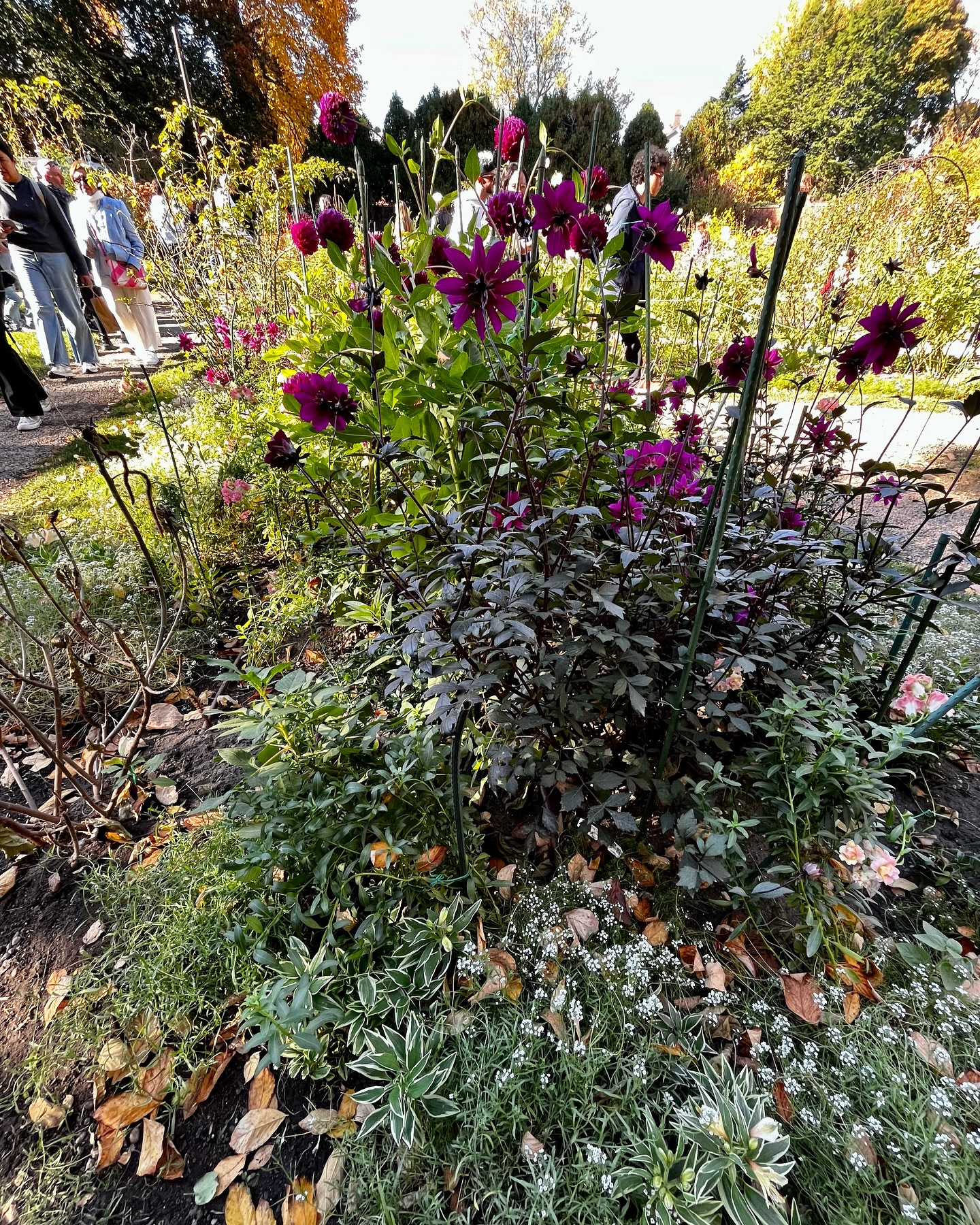 The Story of Sarah Good and the Salem Witch Trials - Haunted Adventures